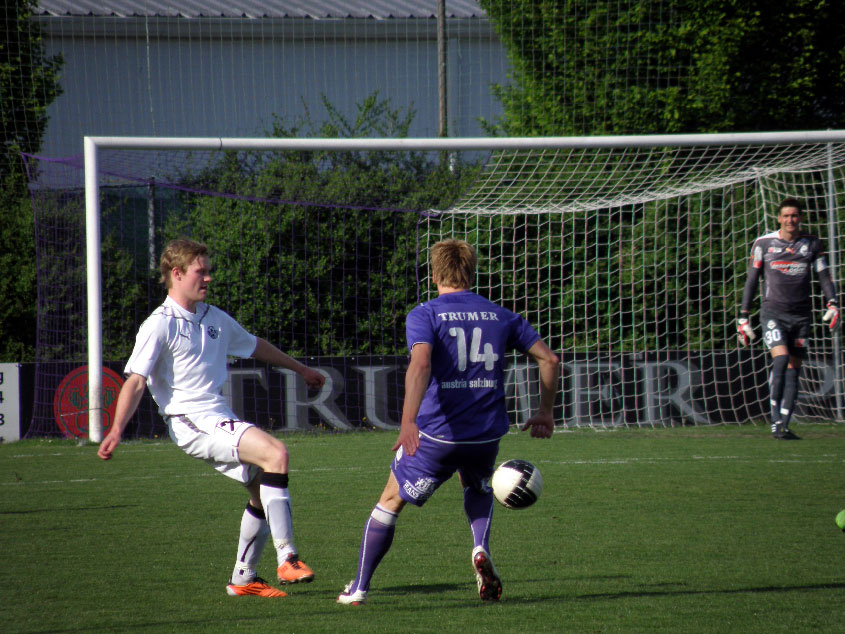 FORZA VIOLA | Fanpage SV Austria Salzburg